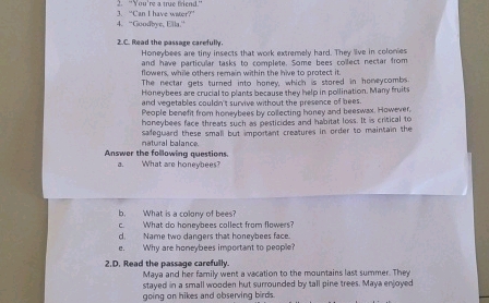 2.C. Read the passage carefully. Honeybees