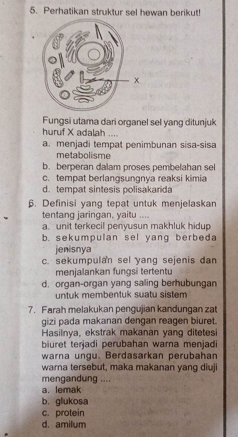 5. Perhatikan struktur sel hewan berikut! | StudyX