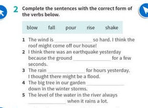 Complete the sentences with the correct form | StudyX