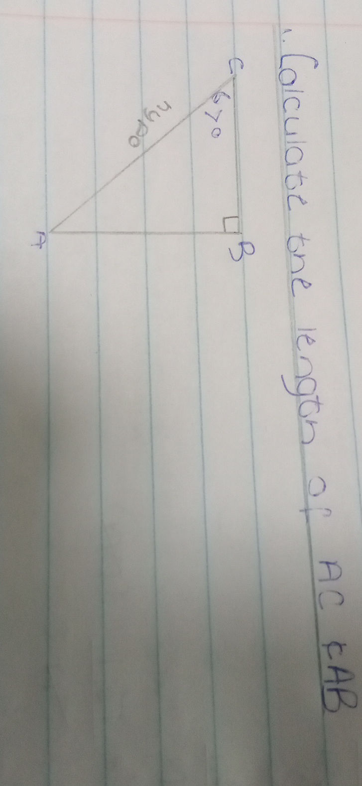 Calculate the length of AC in triangle ABC | StudyX
