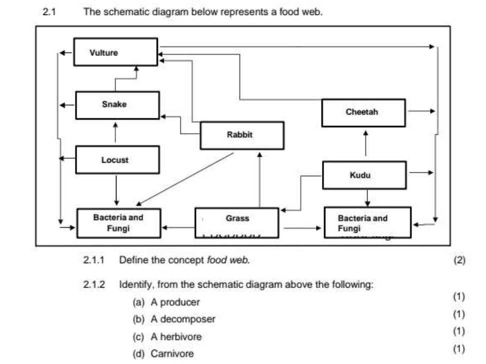 2.1 The schematic diagram below represents a | StudyX