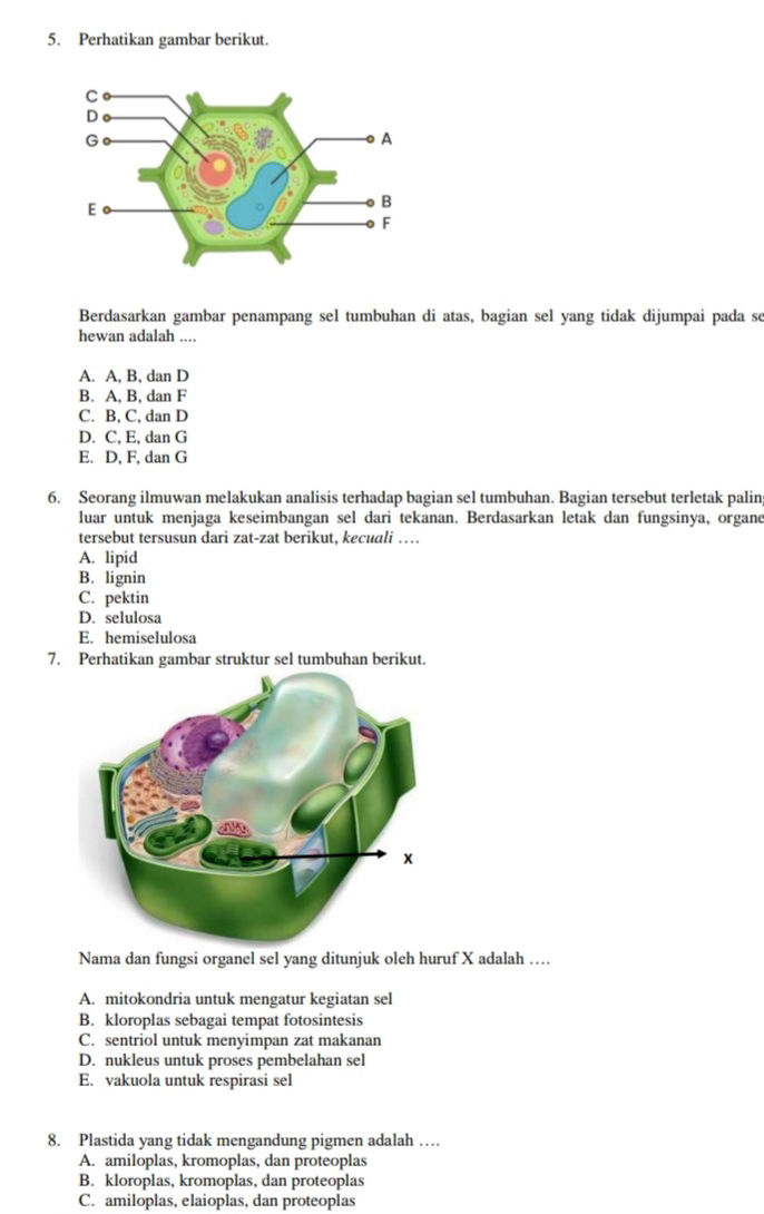 5. Perhatikan gambar berikut. Berdasarkan | StudyX