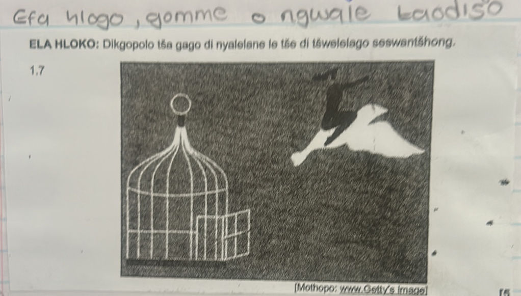 Efa hlogo, gomme o ngwale taodiso ELA | StudyX