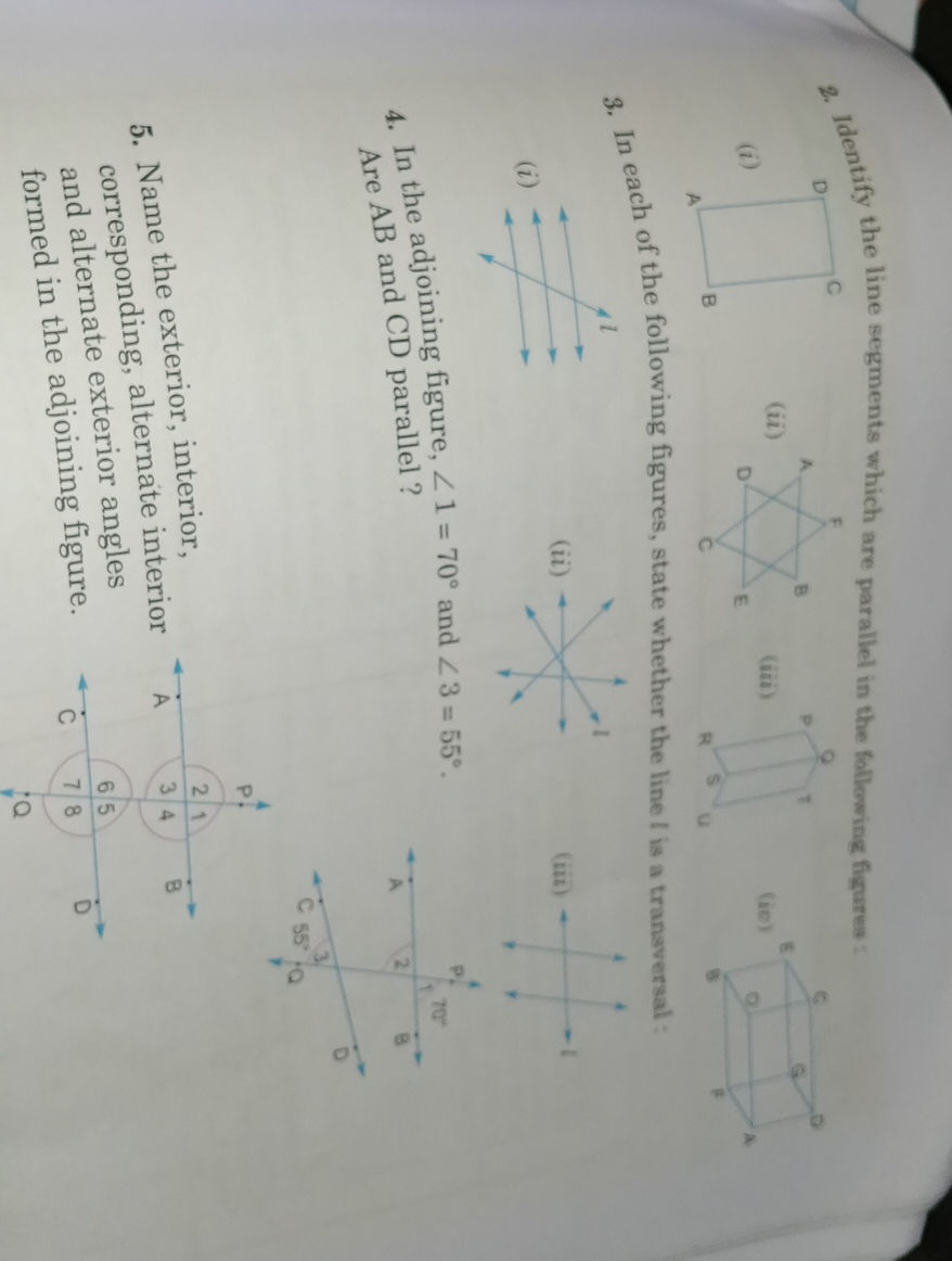 2. Identify the line segments which are | StudyX