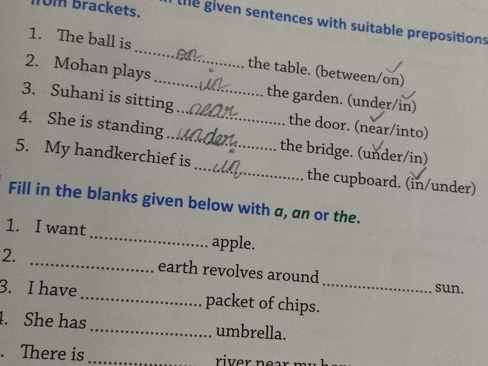 Fill in the blanks in the given sentences | StudyX