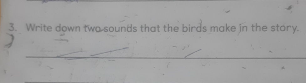 3. Write down two sounds that the birds make | StudyX