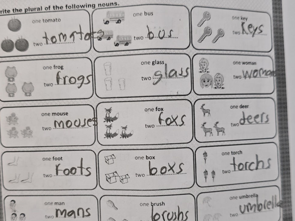 Write the plural of the following nouns. | StudyX
