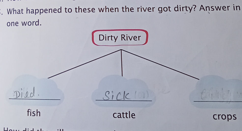 What happened to these when the river got | StudyX