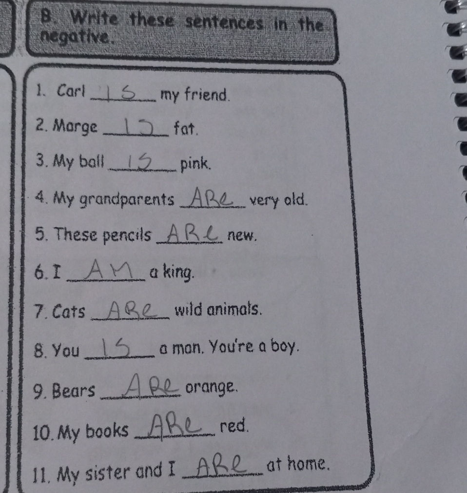 B. Write these sentences in the negative. | StudyX