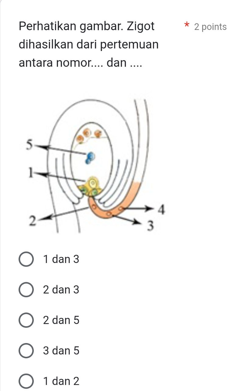 Perhatikan gambar. Zigot dihasilkan dari | StudyX