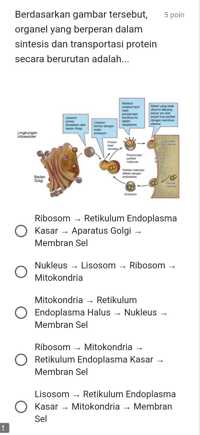 Berdasarkan gambar tersebut, organel yang | StudyX