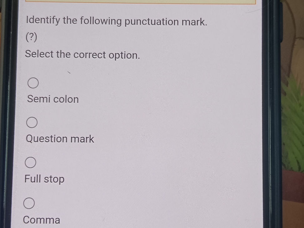 Identify the following punctuation mark. (?) | StudyX