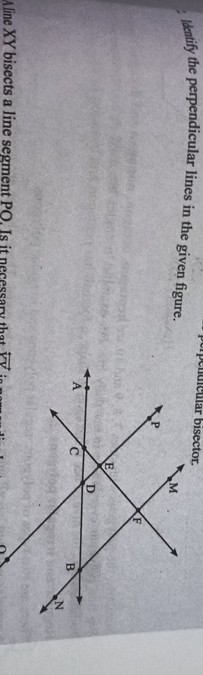 Identify the perpendicular lines in the | StudyX