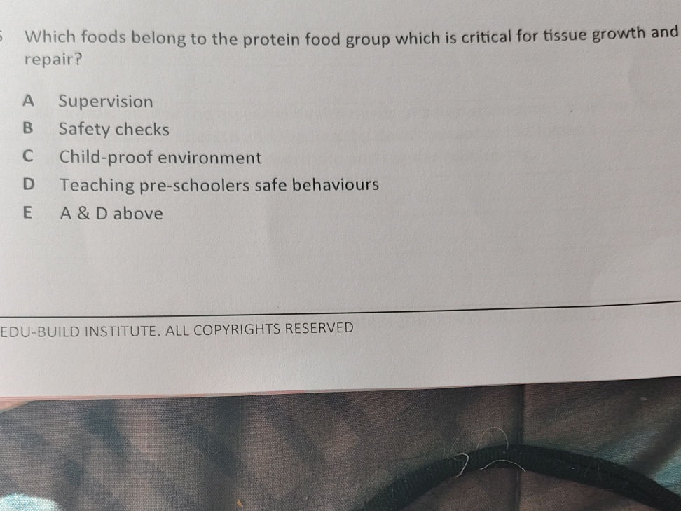 Which foods belong to the protein food group | StudyX