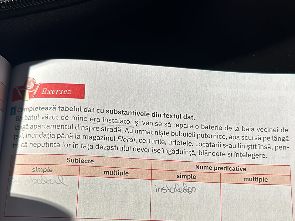Completează tabelul dat cu substantivele din | StudyX