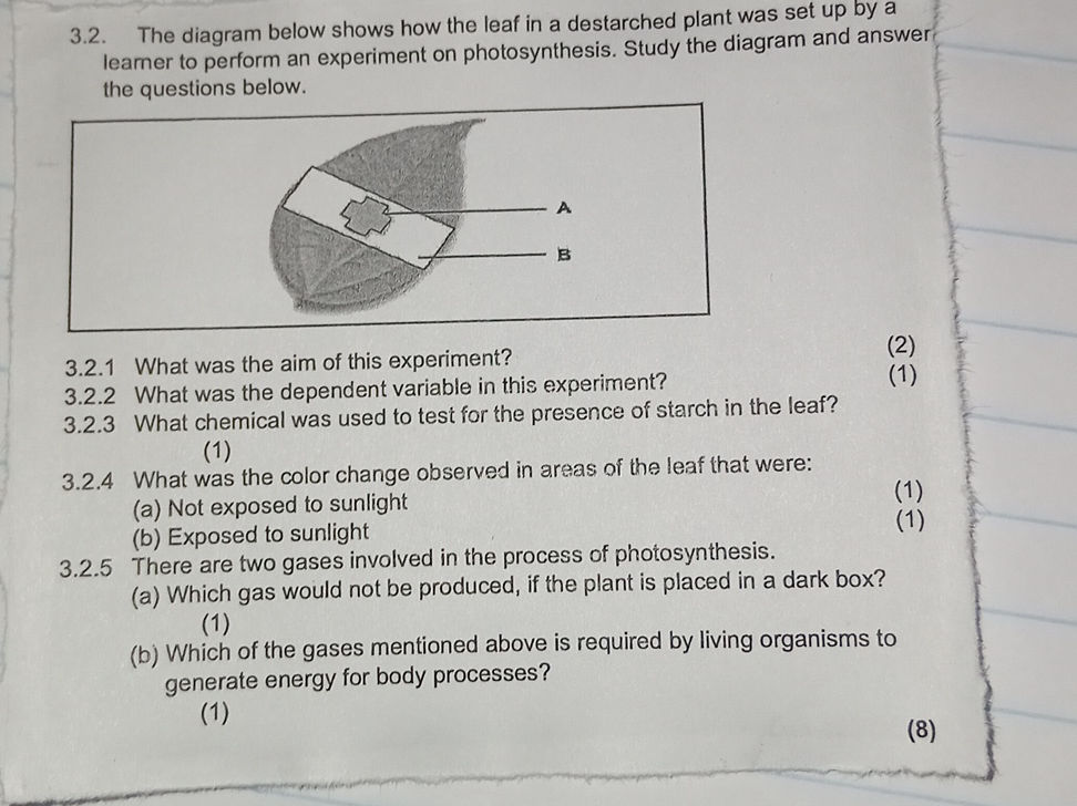 3.2. The diagram below shows how the leaf in | StudyX