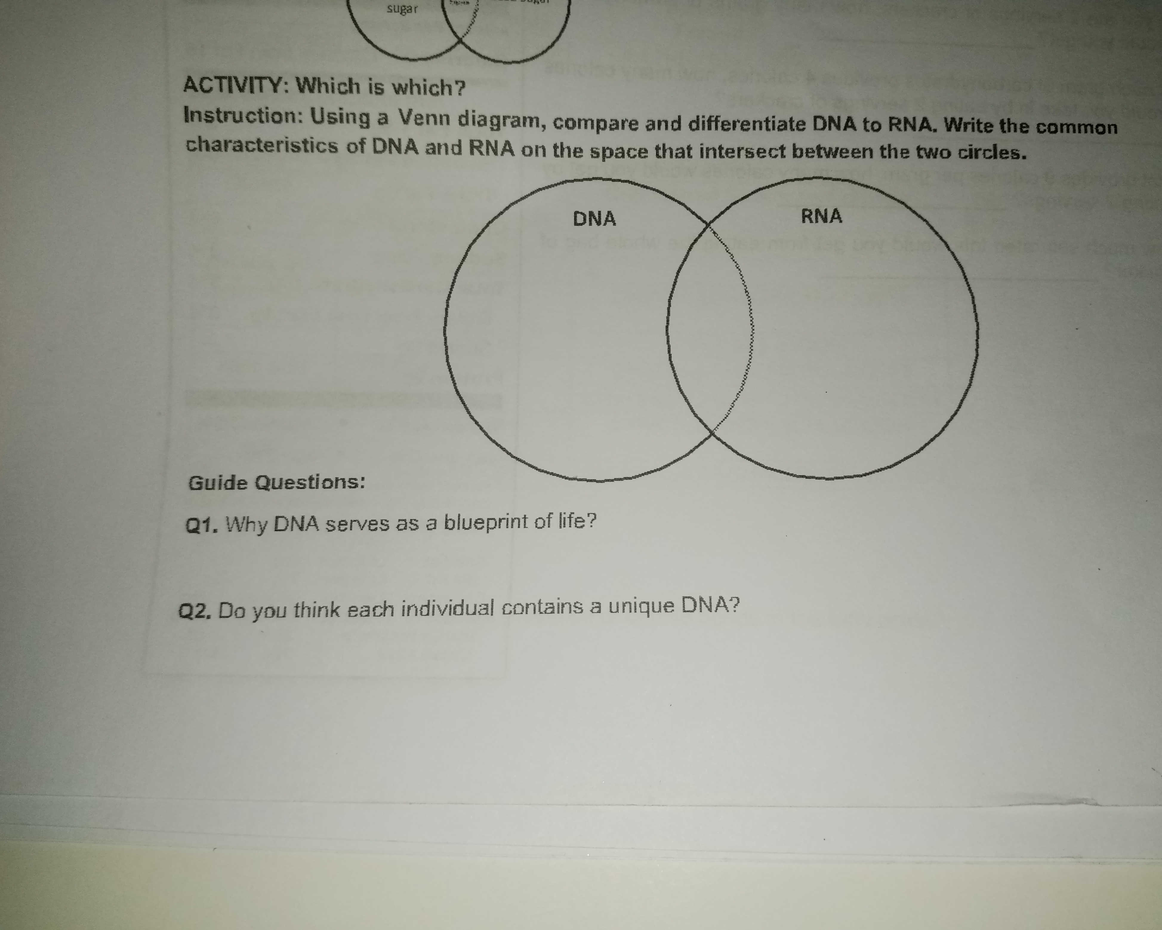 ACTIVITY: Which is which? Instruction: Using | StudyX