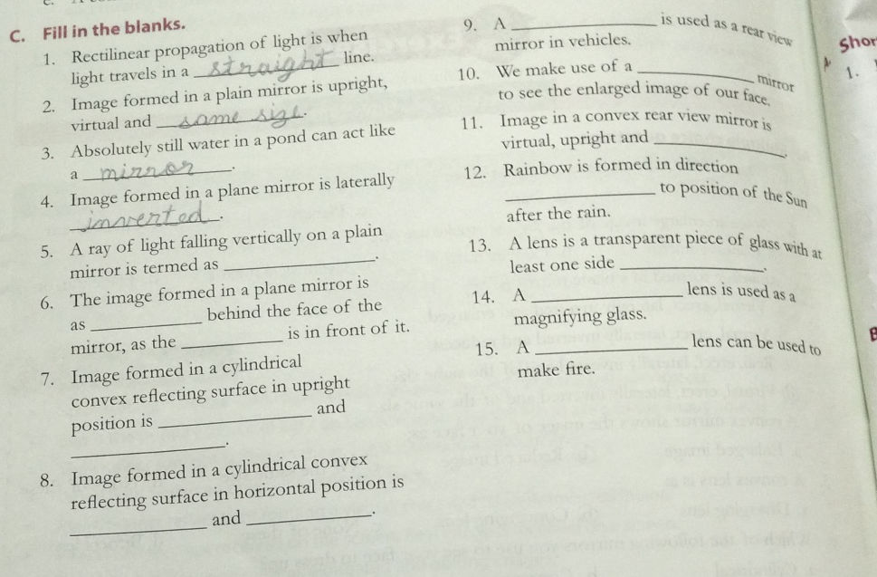 C. Fill in the blanks. 1. Rectilinear | StudyX