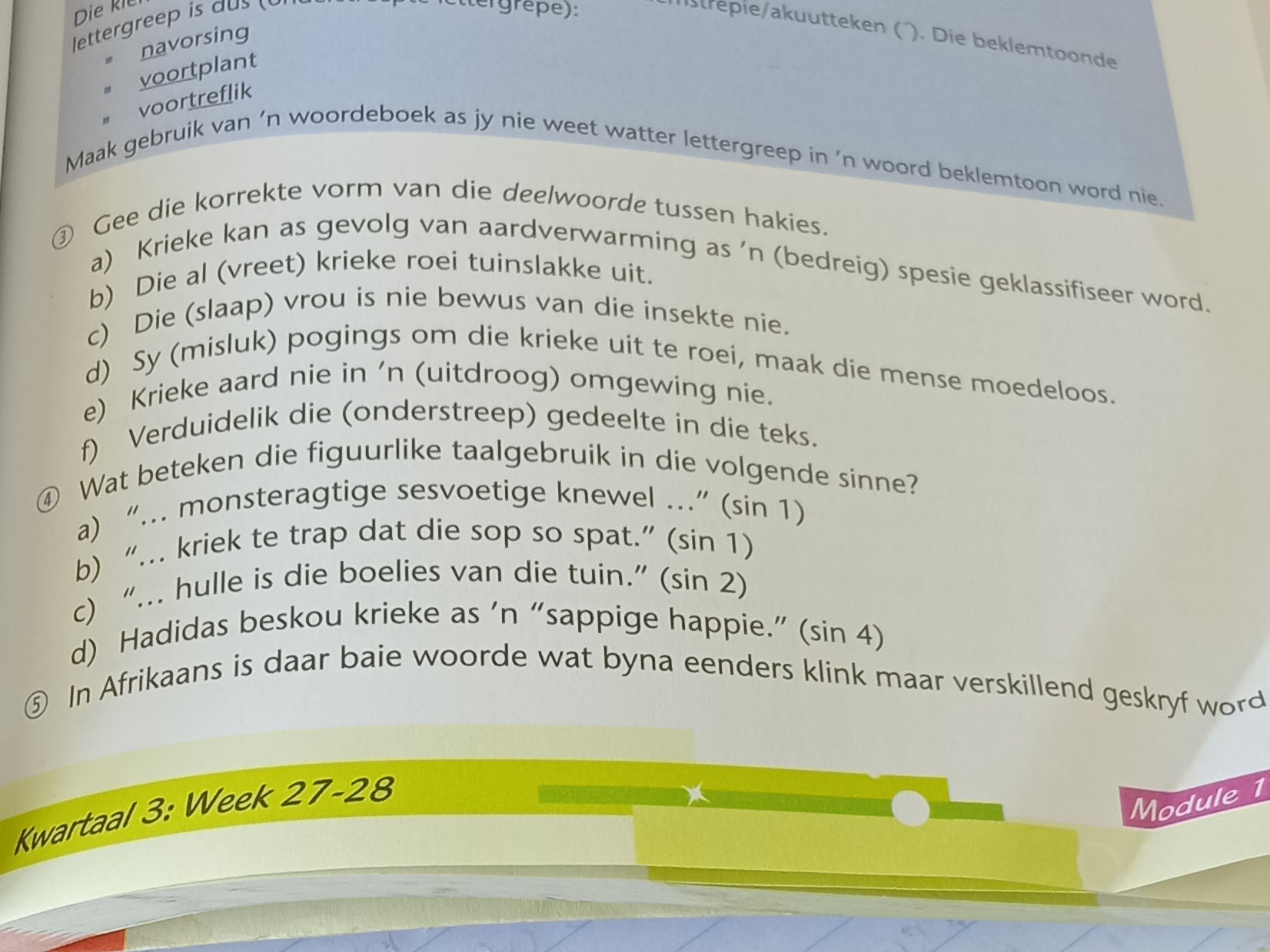 3. Gee die korrekte vorm van die deelwoorde | StudyX