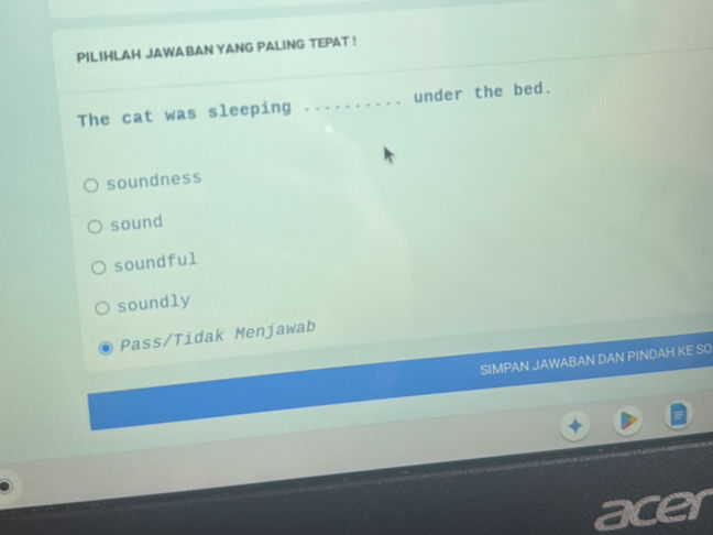PILIHLAH JAWABAN YANG PALING TEPAT! The cat | StudyX