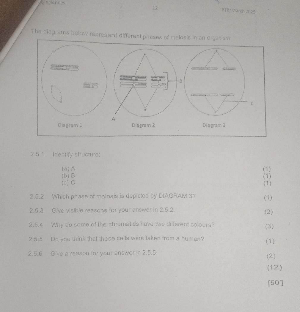 The diagrams below represent different | StudyX