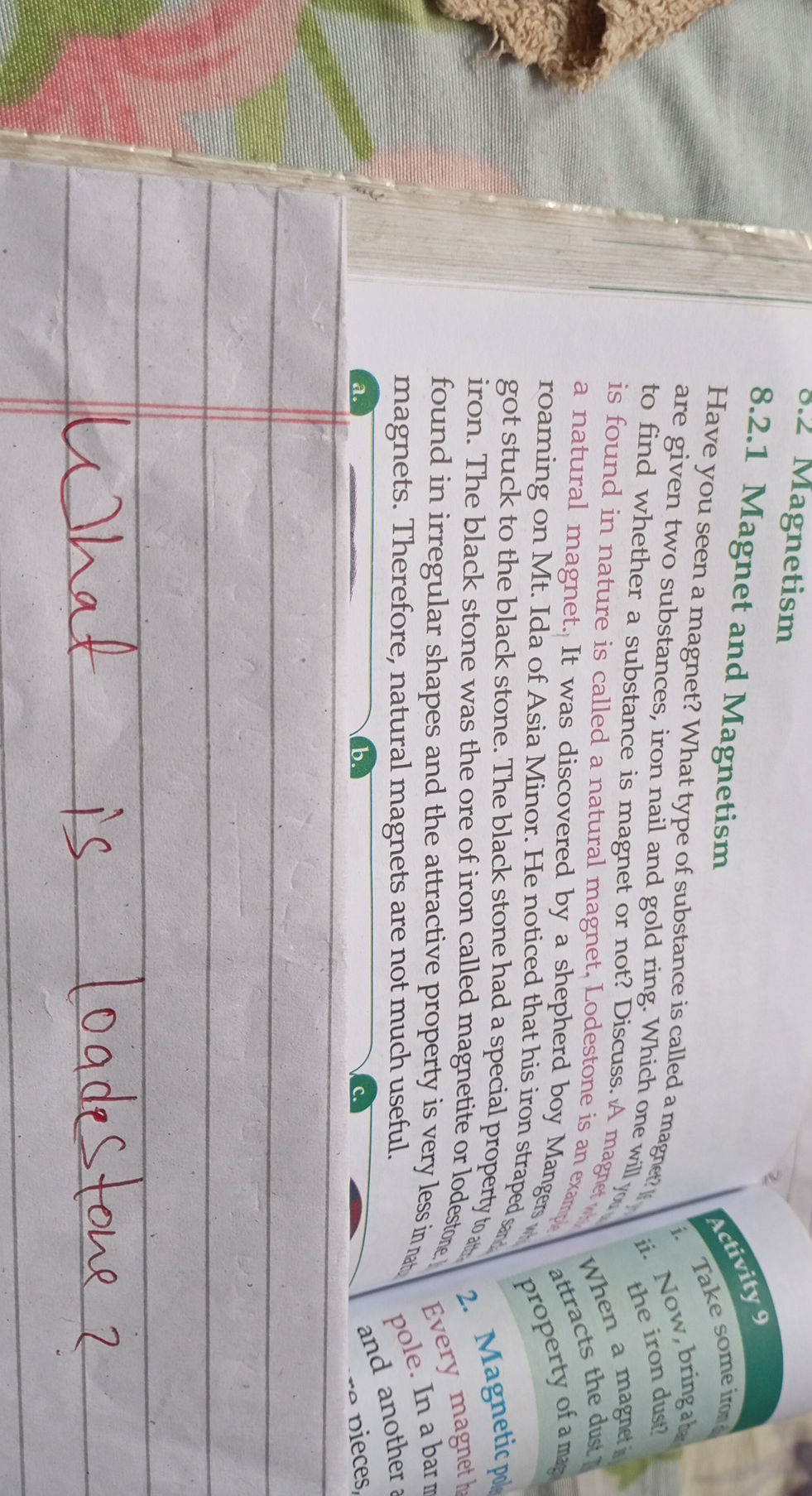 What is a Lodestone? Definition and | StudyX