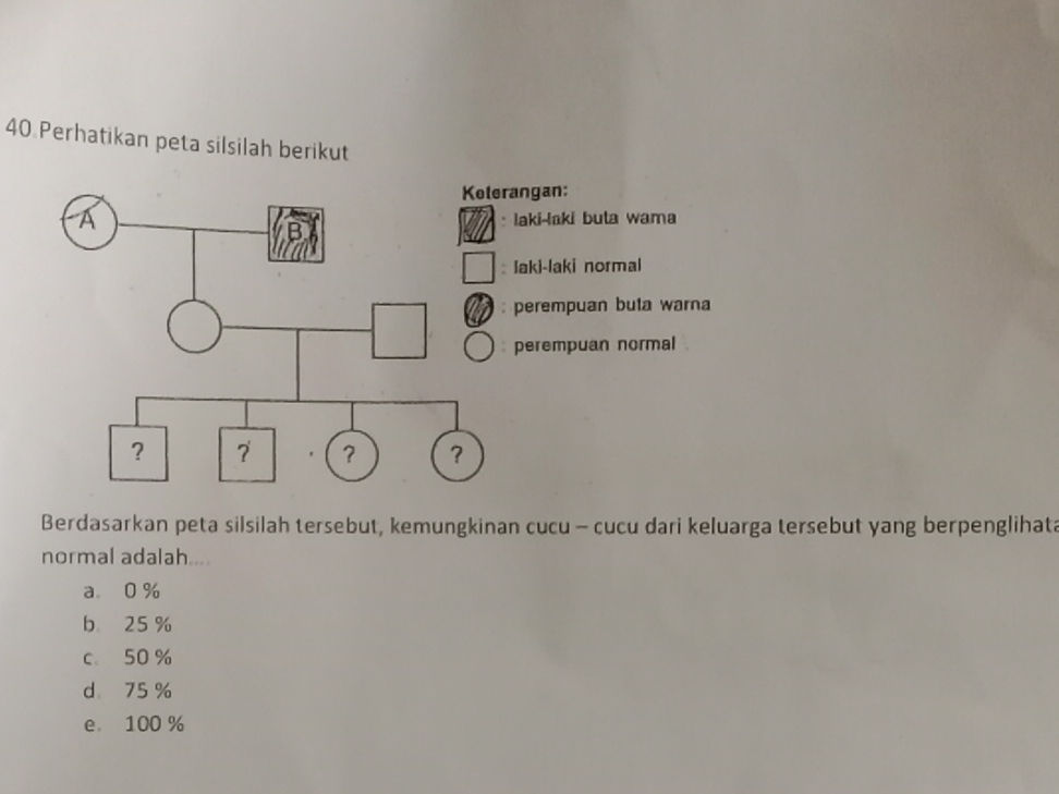 Perhatikan peta silsilah berikut [Diagram | StudyX