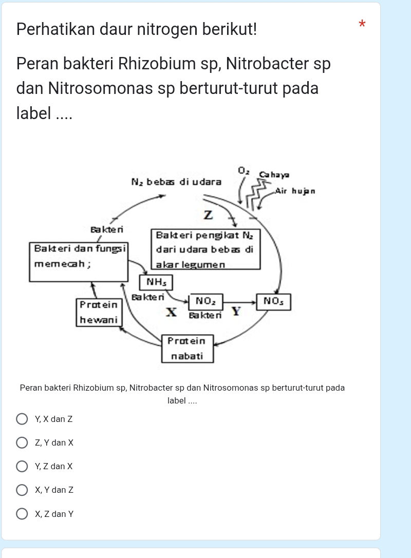 Perhatikan daur nitrogen berikut! Peran | StudyX