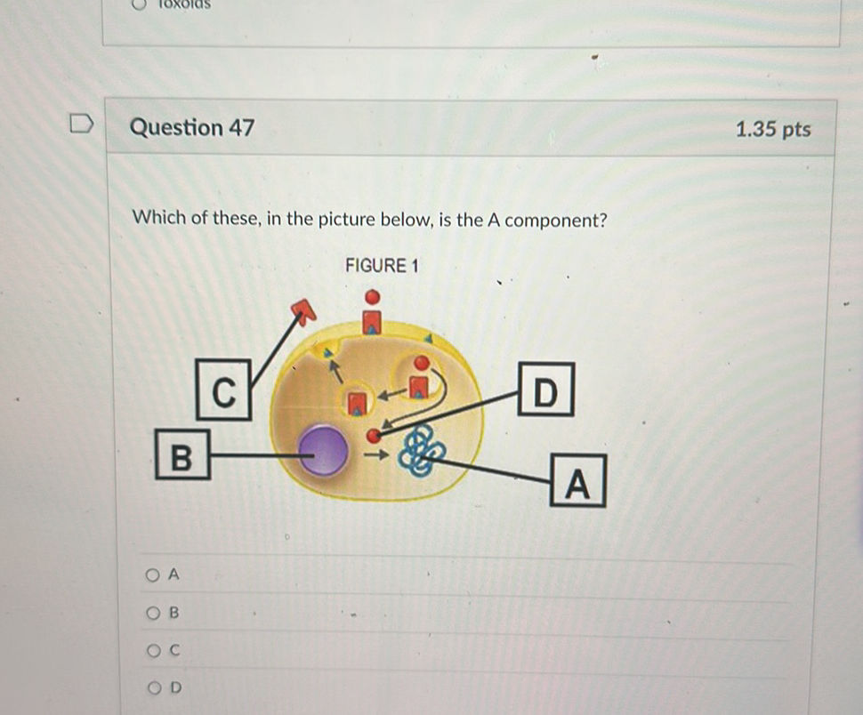 Question 47 Which of these, in the picture | StudyX