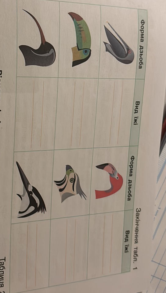 The image presents a table with bird beaks | StudyX