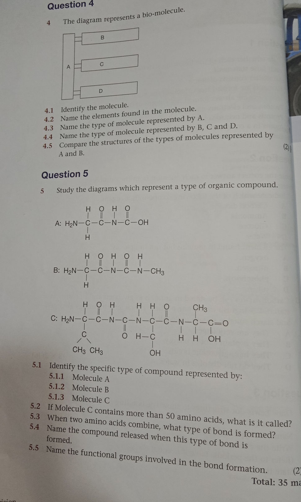 Question 4 4 The diagram represents a | StudyX