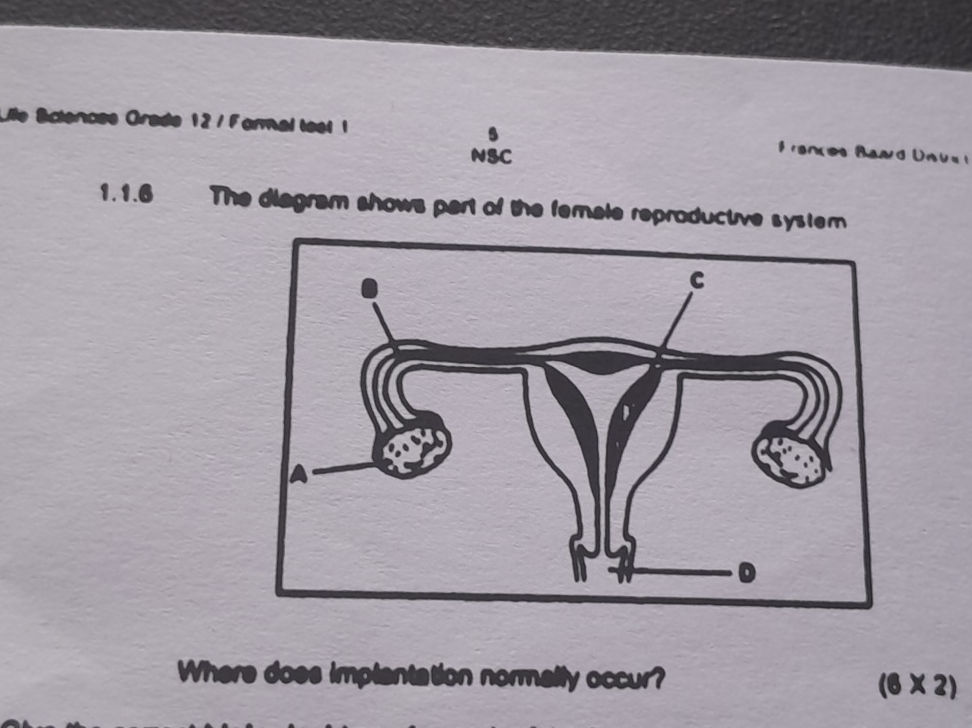 1.1.6 The diagram shows part of the female | StudyX