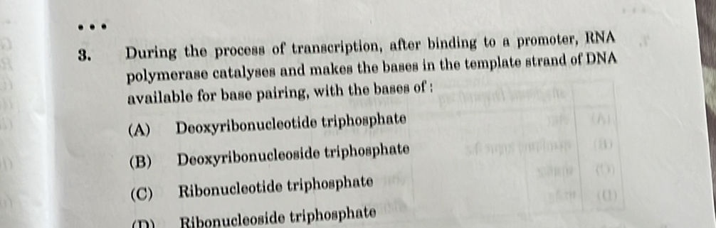 3. During the process of transcription, | StudyX