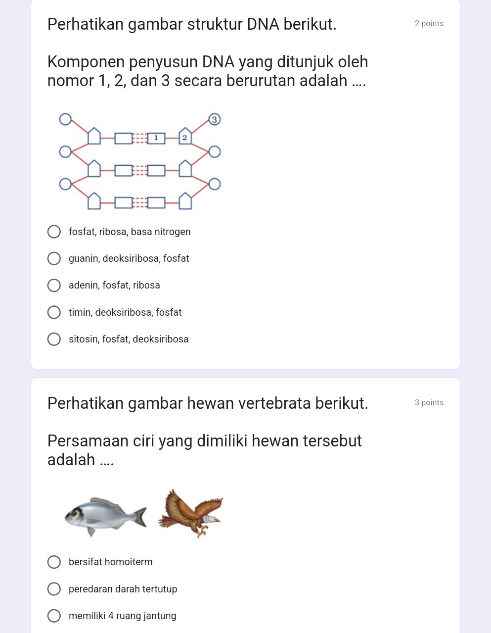 Perhatikan gambar struktur DNA berikut. | StudyX
