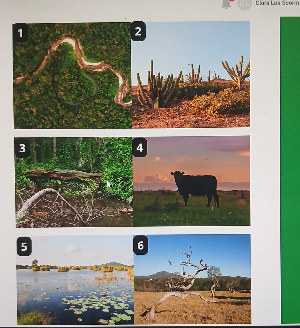 The image shows six different landscapes, | StudyX