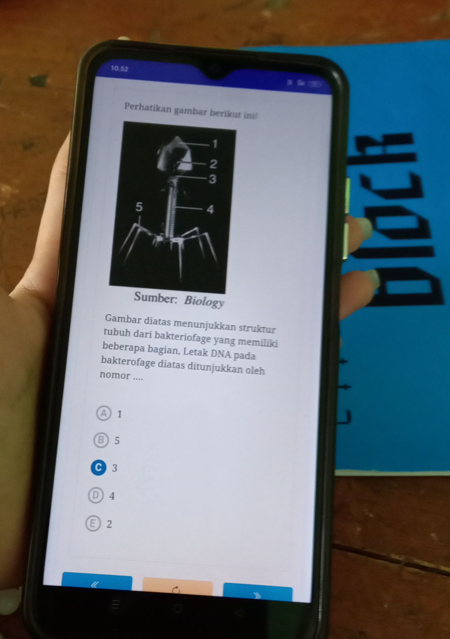 Perhatikan gambar berikut ini! Sumber: | StudyX