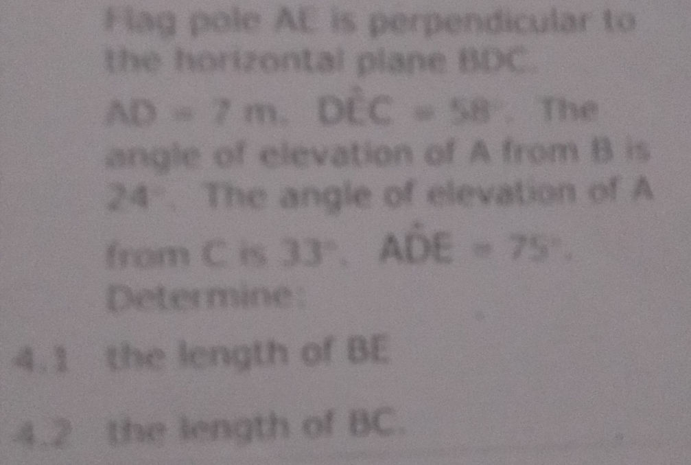 Flag pole AE is perpendicular to the | StudyX