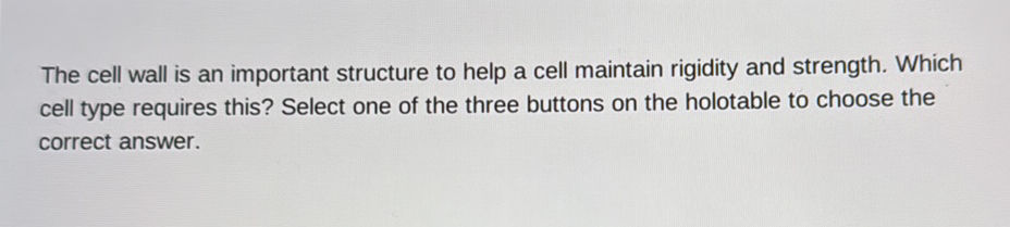 The cell wall is an important structure to | StudyX