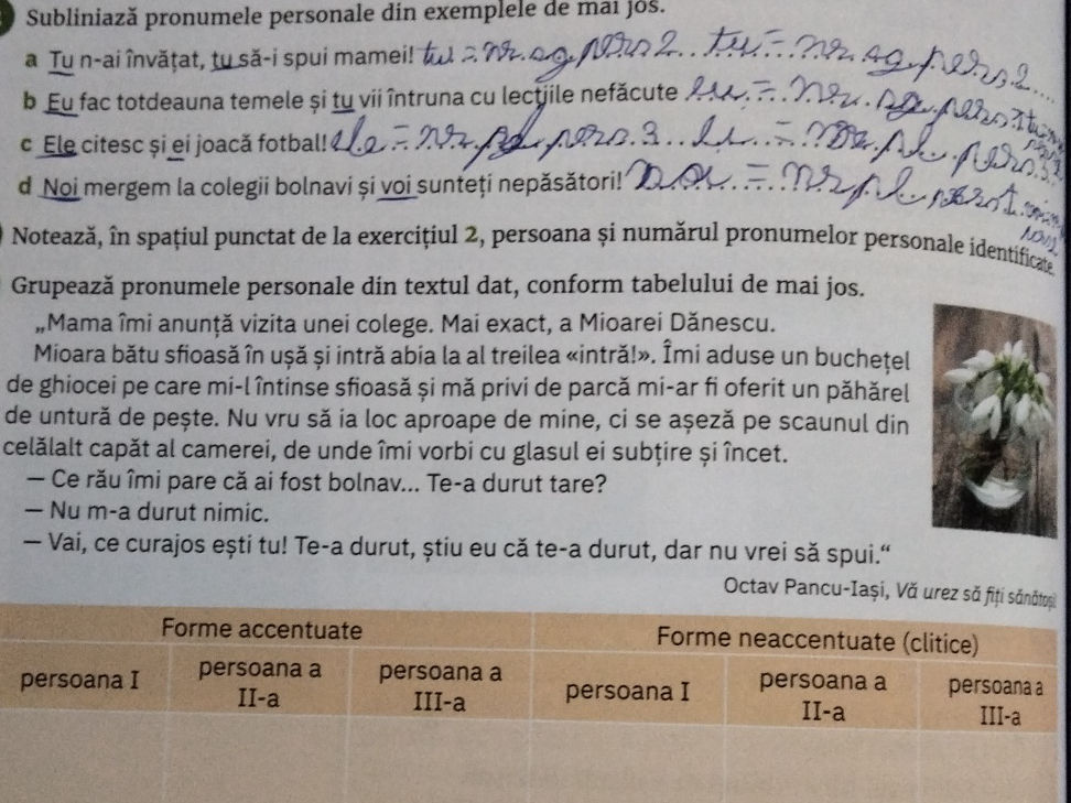 Subliniază pronumele personale din exemplele | StudyX