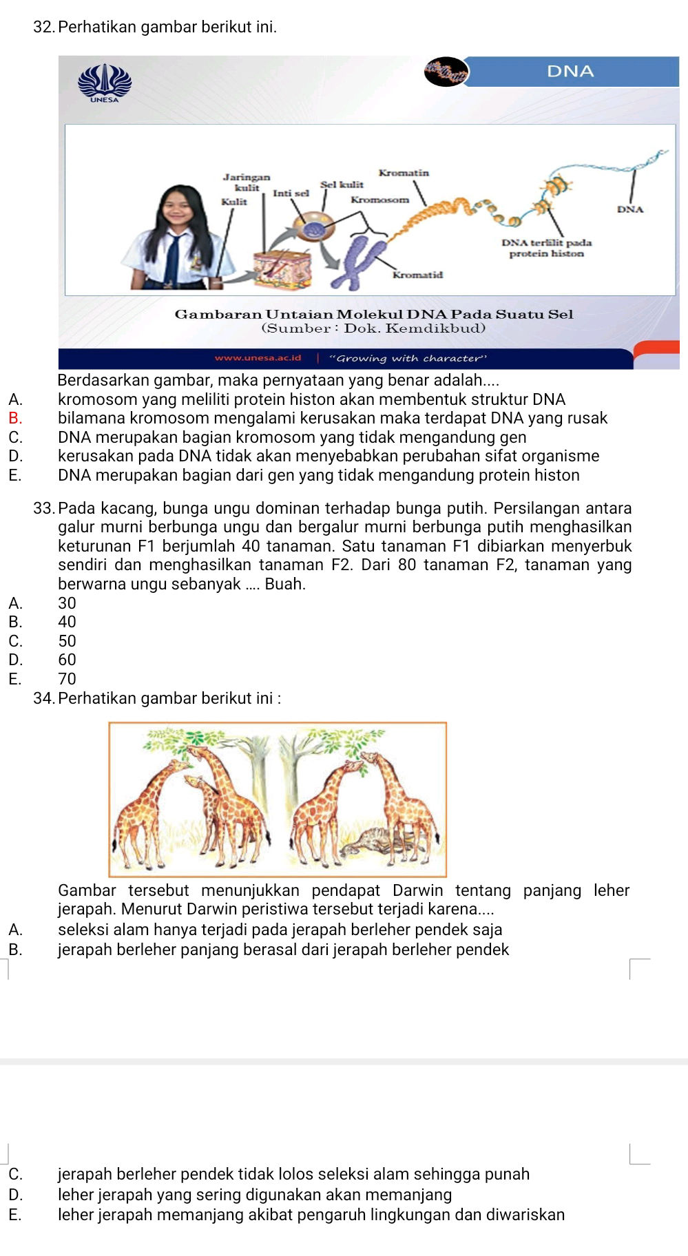 32. Perhatikan gambar berikut ini. | StudyX