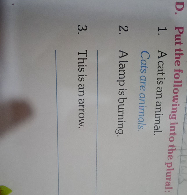 D. Put the following into the plural: 1. A | StudyX