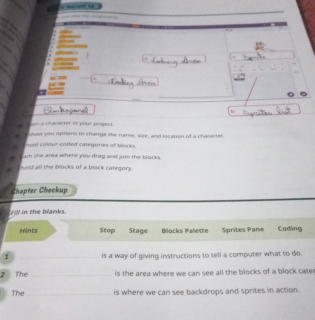 Fill in the blanks. | Hints | Stop | Stage | StudyX