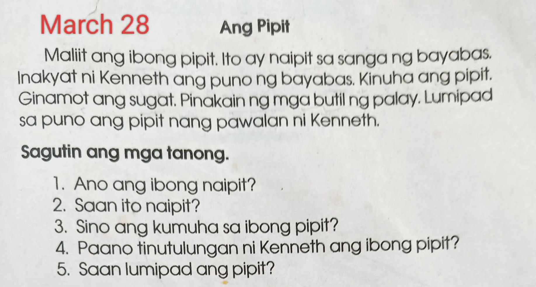 Maliit ang ibong pipit. Ito ay naipit sa | StudyX