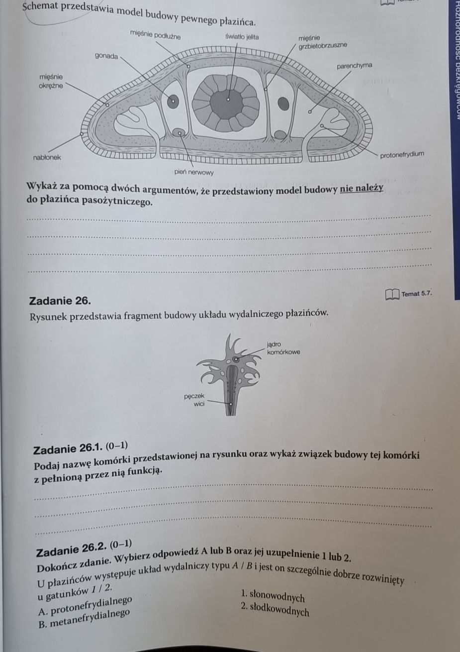 Schemat przedstawia model budowy pewnego | StudyX