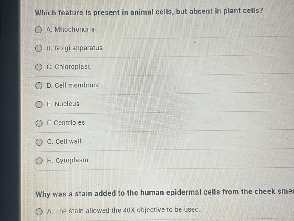 Which feature is present in animal cells, | StudyX