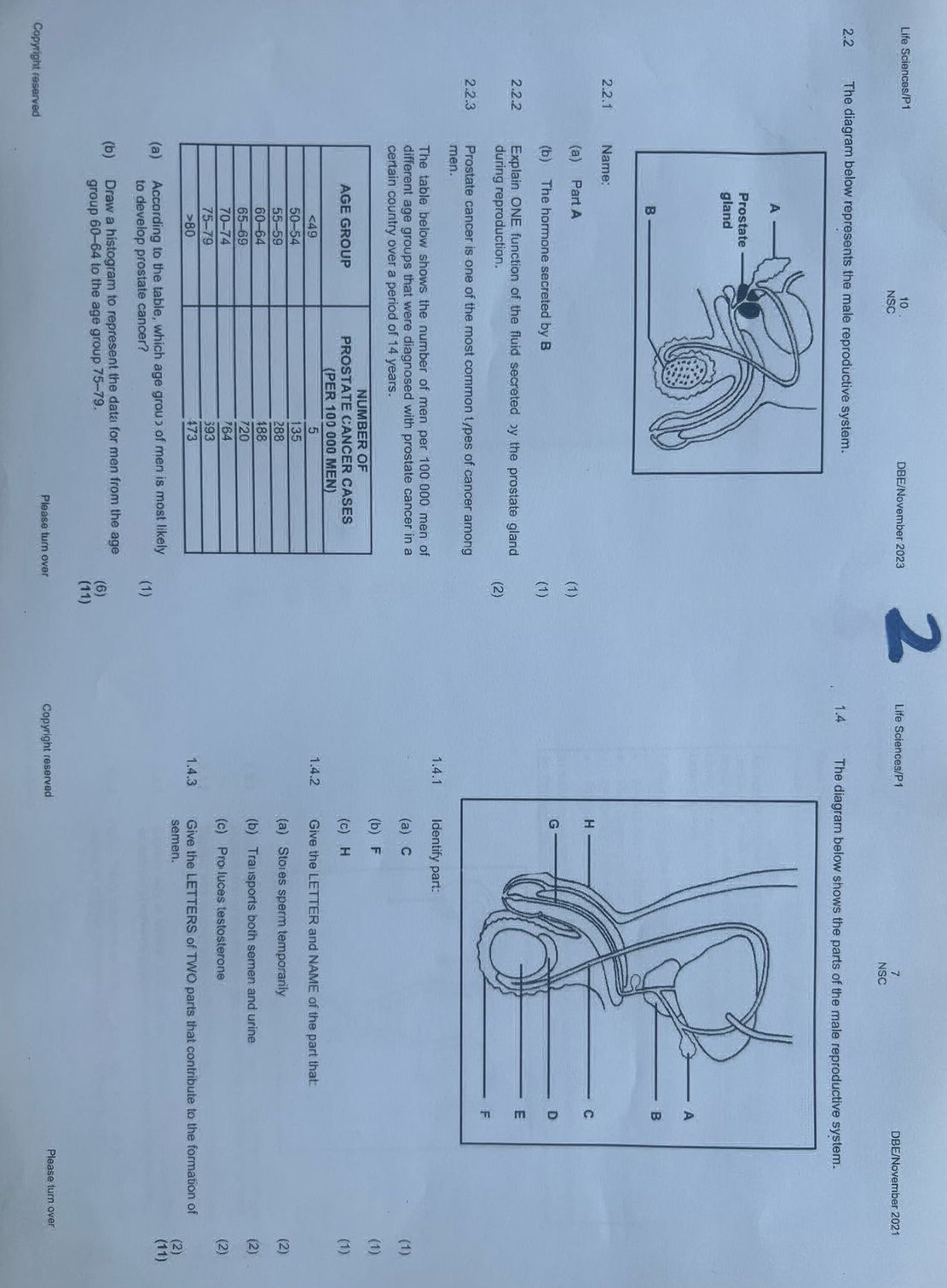 1. 4 The diagram below shows the parts of | StudyX