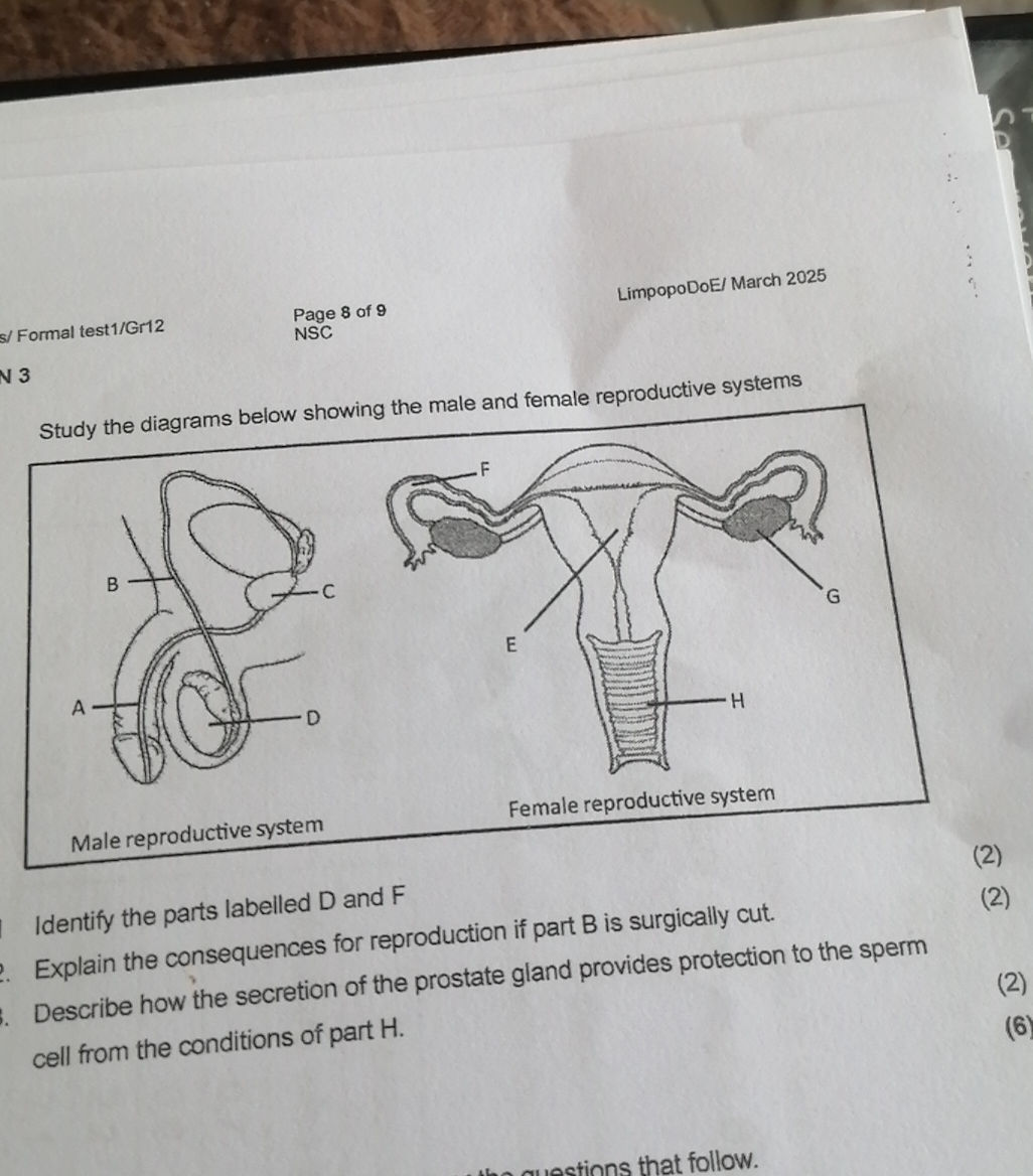 Study the diagrams below showing the male | StudyX