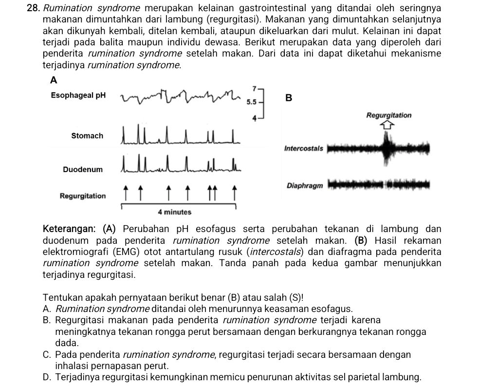 28. Rumination syndrome merupakan kelainan | StudyX