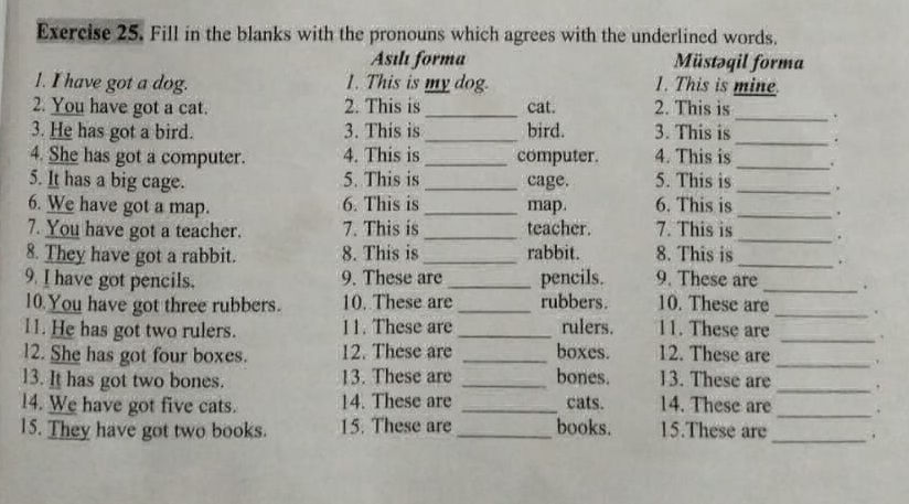 Exercise 25. Fill in the blanks with the | StudyX
