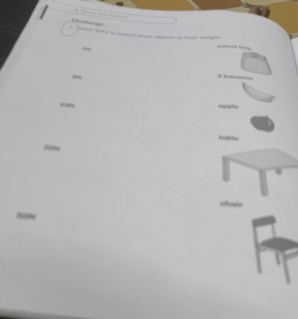 Challenge Draw lines to match these objects | StudyX